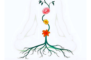 Becoming Whole x Dr. Erica Matluck | Substack