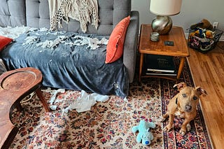 Volts | David Roberts | Substack