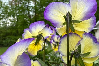 Time & Temperature | Rhett Miller | Substack