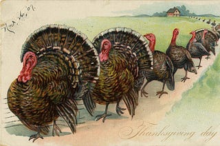 Honey & Pixels | Bonnie Louise | Substack