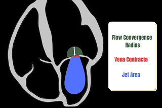 The Echo Journal | Aram K. | Substack