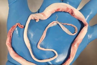 Clotastrophe | Laura Kasner | Substack