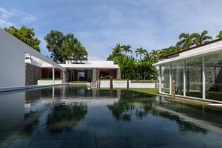 海马星球 Seahorse Planet | Substack