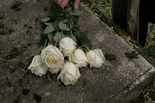 trauma & co. | emma🦈 | Substack