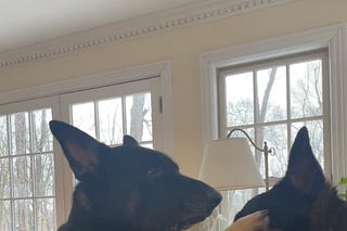 J.F. Riordan; Reflections on a Life in Exile | J. F. Riordan | Substack