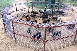 Matthew’s Substack | Matt Bracken | Substack