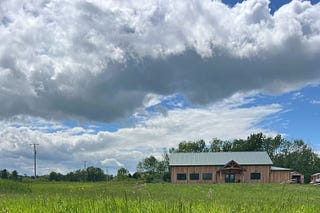 House of Green | Alexandra Fasulo | Substack