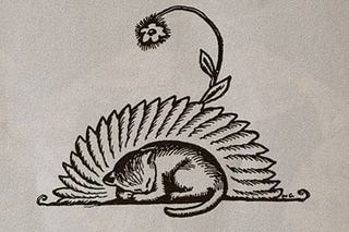 Looking at Picture Books | Mac Barnett | Substack