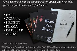 On The Cobblestone Road | Sara A. Noë | Substack