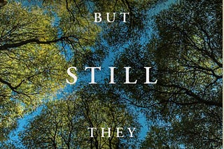 J.F. Riordan; Reflections on a Life in Exile | J. F. Riordan | Substack
