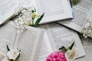 Claire Stibbe | Substack