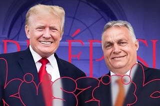 Schultz Nóra | Substack