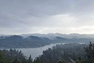 Winter’s Substack | Winter Ave Zoli | Substack