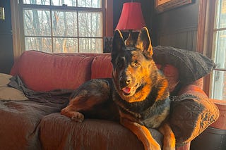 J.F. Riordan; Reflections on a Life in Exile | J. F. Riordan | Substack