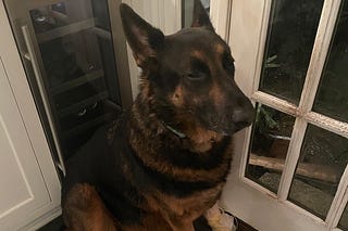 J.F. Riordan; Reflections on a Life in Exile | J. F. Riordan | Substack