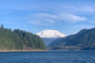 Wordy Bird | Susan Orlean | Substack