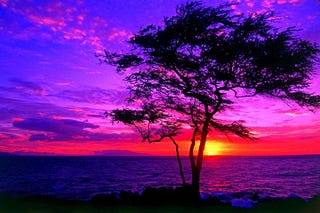 Yeshe Rabgye's Buddhism Guide | Substack