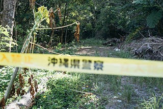 Reiho Takeuchi’s Substack | Substack