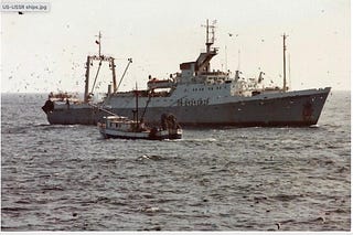 realDianaWest | Diana W | Substack