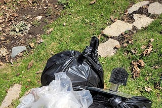 Trent Hills News | Art Chamberlain | Substack