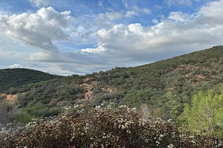 方舟子Shimin’s Substack | 方舟子Shimin Fang | Substack