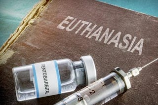 Yeshe Rabgye's Buddhism Guide | Substack