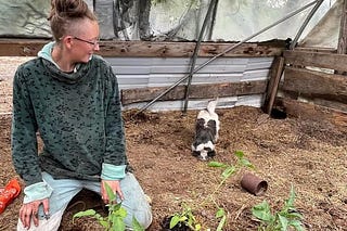 Bittersweet-Milkweed’s Substack | Bittersweet-Milkweed Farm | Substack