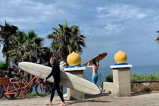 The Skeptical Cardiologist | Substack