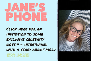 Another Jane Pratt Thing | Substack