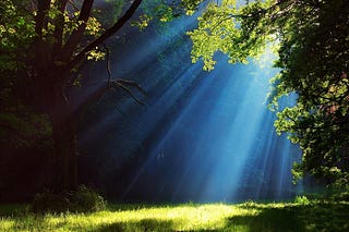 Asha’s Substack | Asha Logos | Substack