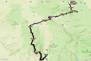 Run Ready AI | Dakota Reese Brown | Substack