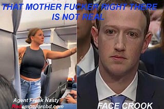 Agent’s Substack | Agent Midnight Rider | Substack