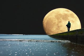 Mohamed Shabka | Substack