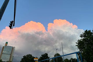 海马星球 Seahorse Planet | Substack