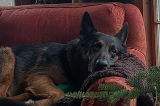 J.F. Riordan; Reflections on a Life in Exile | J. F. Riordan | Substack