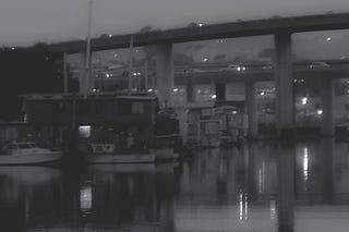 Stories From the Bay | Lou Cook | Substack