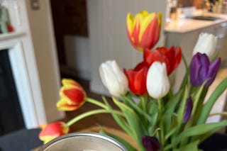 Adventures and Naps | Alanna Naps | Substack