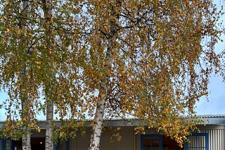 In appreciation | Clara McKay | Substack