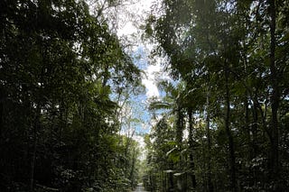 Maurice’s Substack | Maurice Moore | Substack