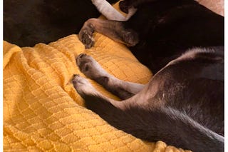 J.F. Riordan; Reflections on a Life in Exile | J. F. Riordan | Substack