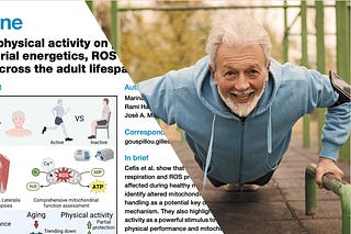 Nicholas’s Substack | Nick Norwitz | Substack