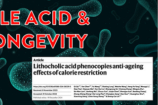 Nicholas’s Substack | Nick Norwitz | Substack