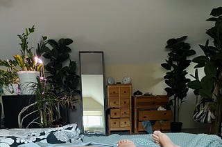 Juliebeans | Julie Beans | Substack