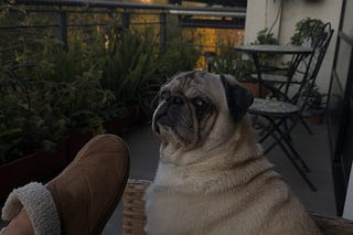 Ali Begun | Substack