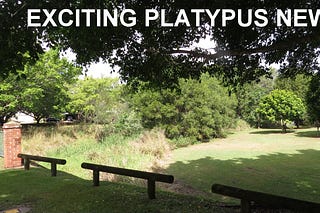 ACF Community Brisbane Northside | Gayle Dallaston | Substack