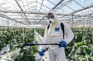 The World According to Fast Eddy | Substack