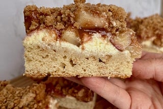 Rachael’s Substack | Rachael Galano | Substack