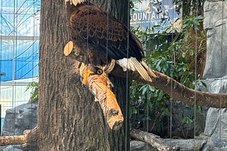 Keith’s Substack | Keith Law | Substack