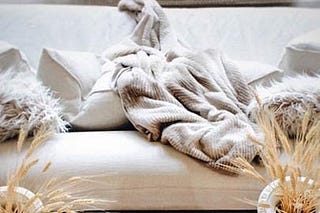 The Cabinista | Peyton Davies | Substack