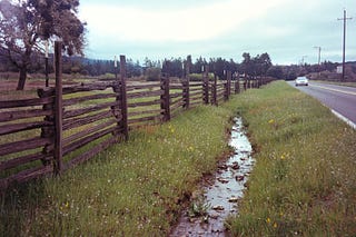 Human Stuff | Lisa Olivera | Substack